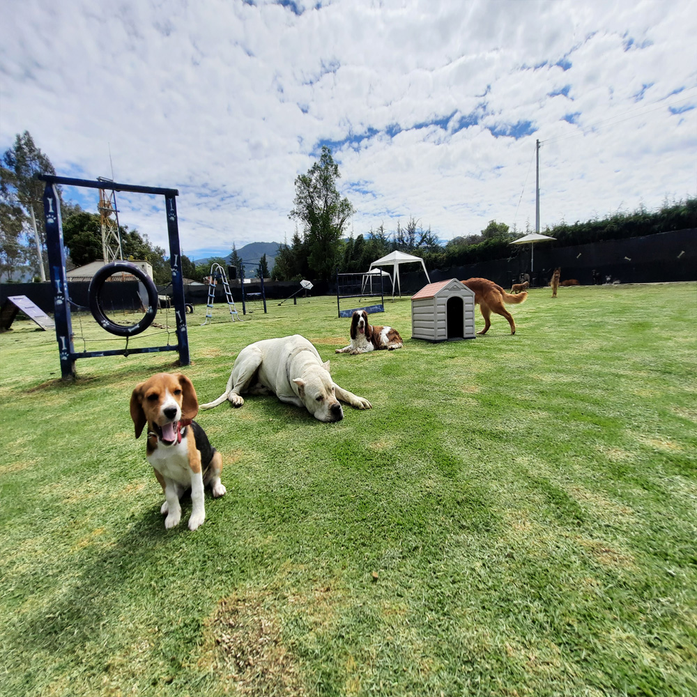 El Parque Club Canino